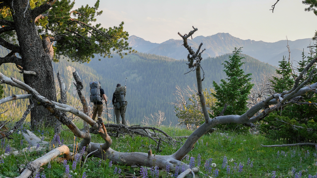 BENEFITS OF BEING A MOBILE HUNTER – PEAX Equipment